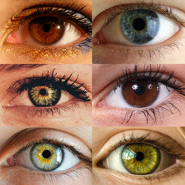 Baby Eye Color Chart Prettier Best Eye Color Charts Ideas On Of Baby 